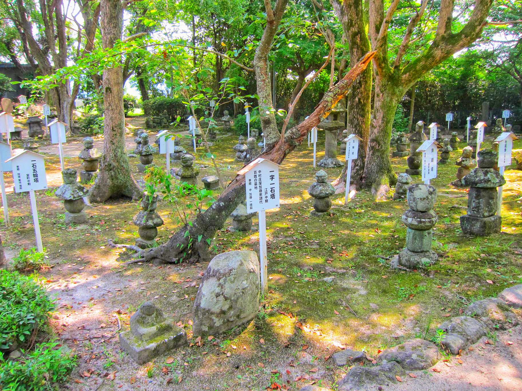 Kitsuki Castle – A Complete Travel Guide To Japan’s Smallest Castle ...