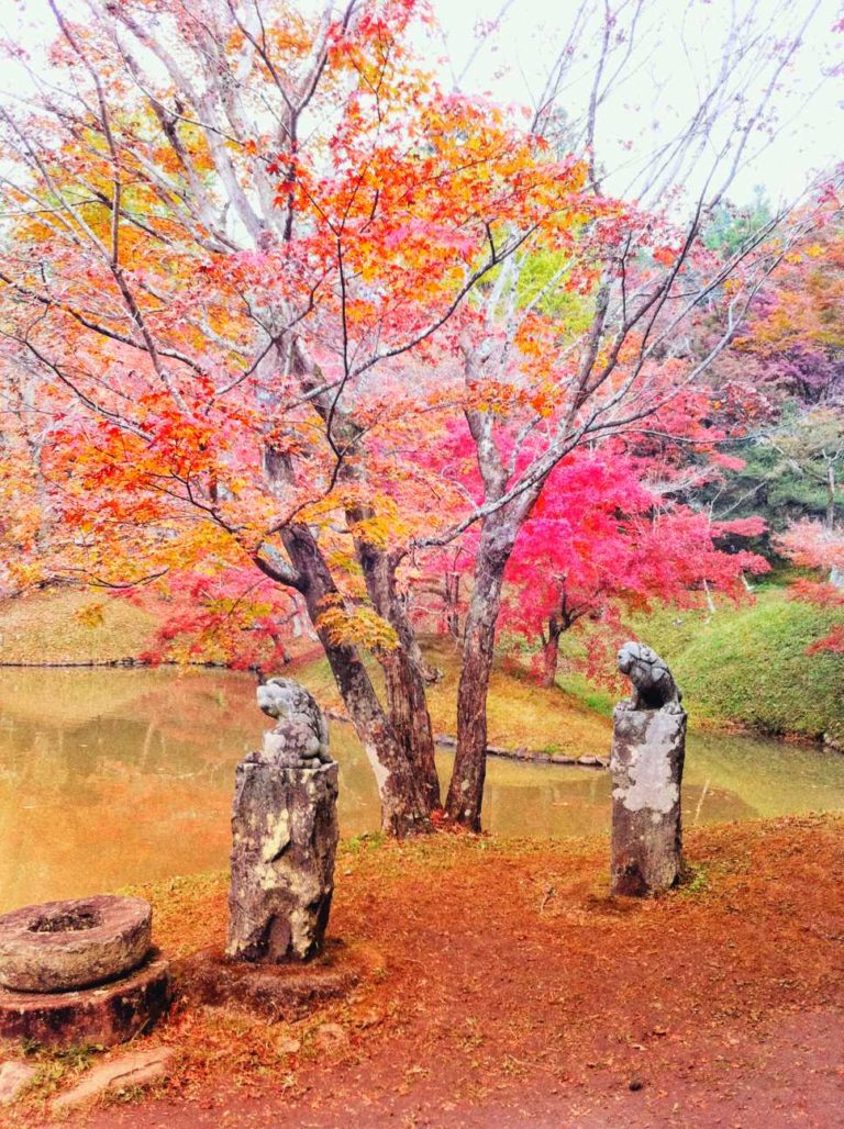 Bungoono - A Complete Guide to Japan's Secret Beautiful Geopark