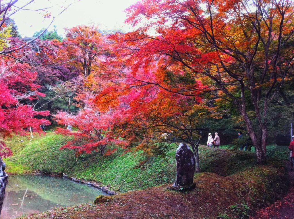 Bungoono – Admiring the Beautiful Autumn in Japan’s Enchanting ...