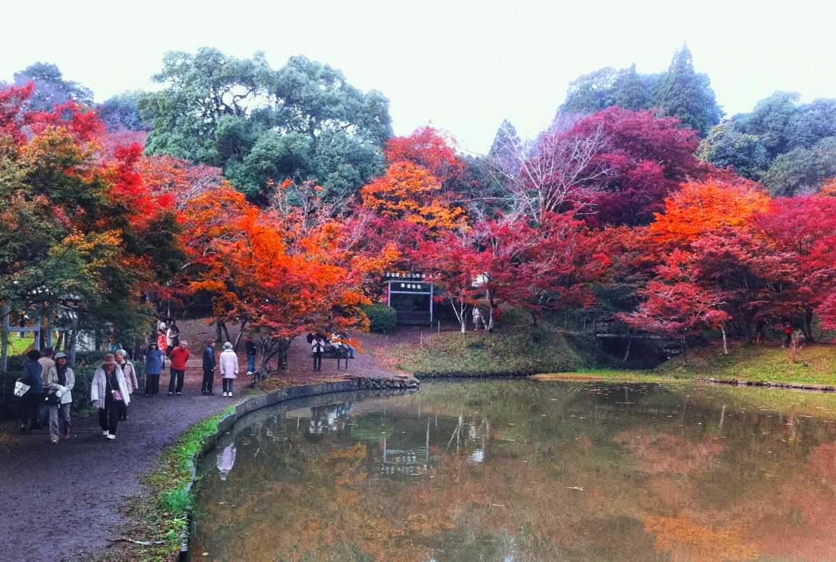 Bungoono – Admiring the Beautiful Autumn in Japan’s Enchanting ...