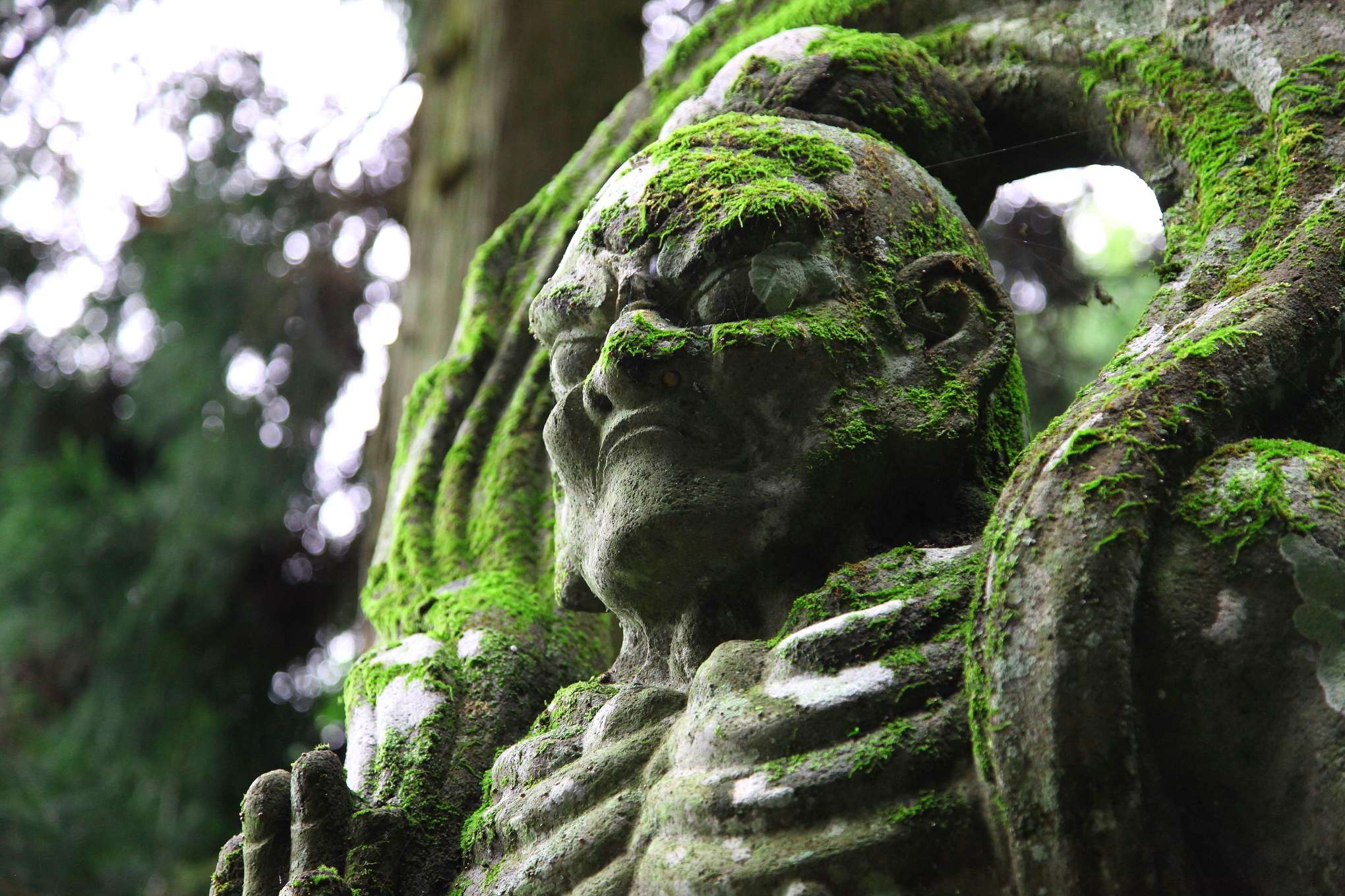 Futagoji Temple - A Complete Guide to Kunisaki Peninsula's Poster Boy