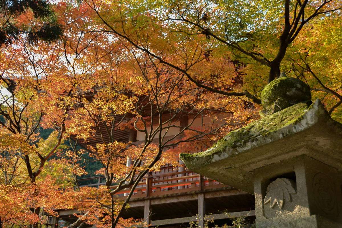 Futagoji Temple - A Complete Guide to Kunisaki Peninsula's Poster Boy