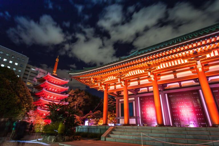 Tochoji - Introducing Japan's Massive Wooden Seated Buddha