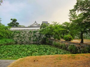 Ohori Park - The Ultimate Guide to Fukuoka's Tranquil Park