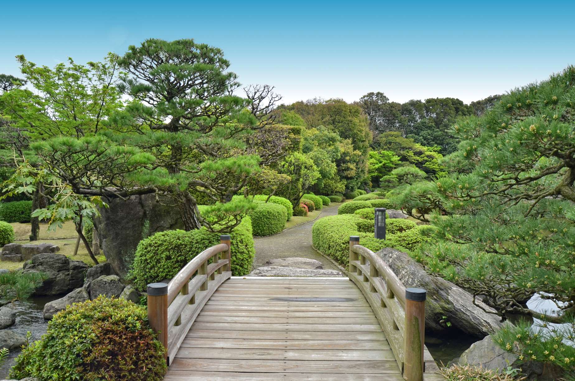 Ohori Park - The Ultimate Guide to Fukuoka's Tranquil Park