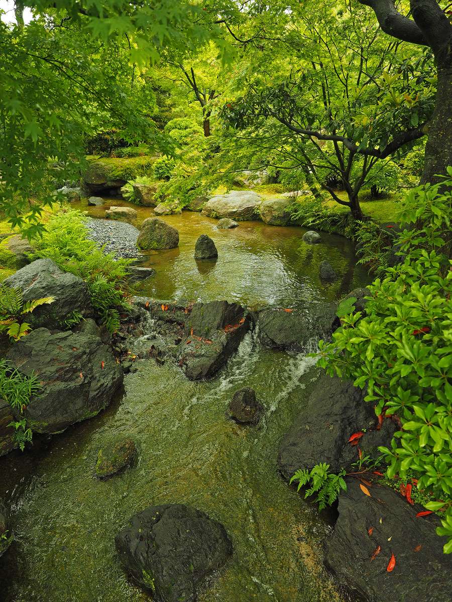 Ohori Park - The Ultimate Guide to Fukuoka's Tranquil Park