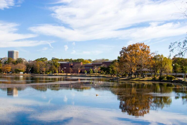 Ohori Park - The Ultimate Guide to Fukuoka's Tranquil Park