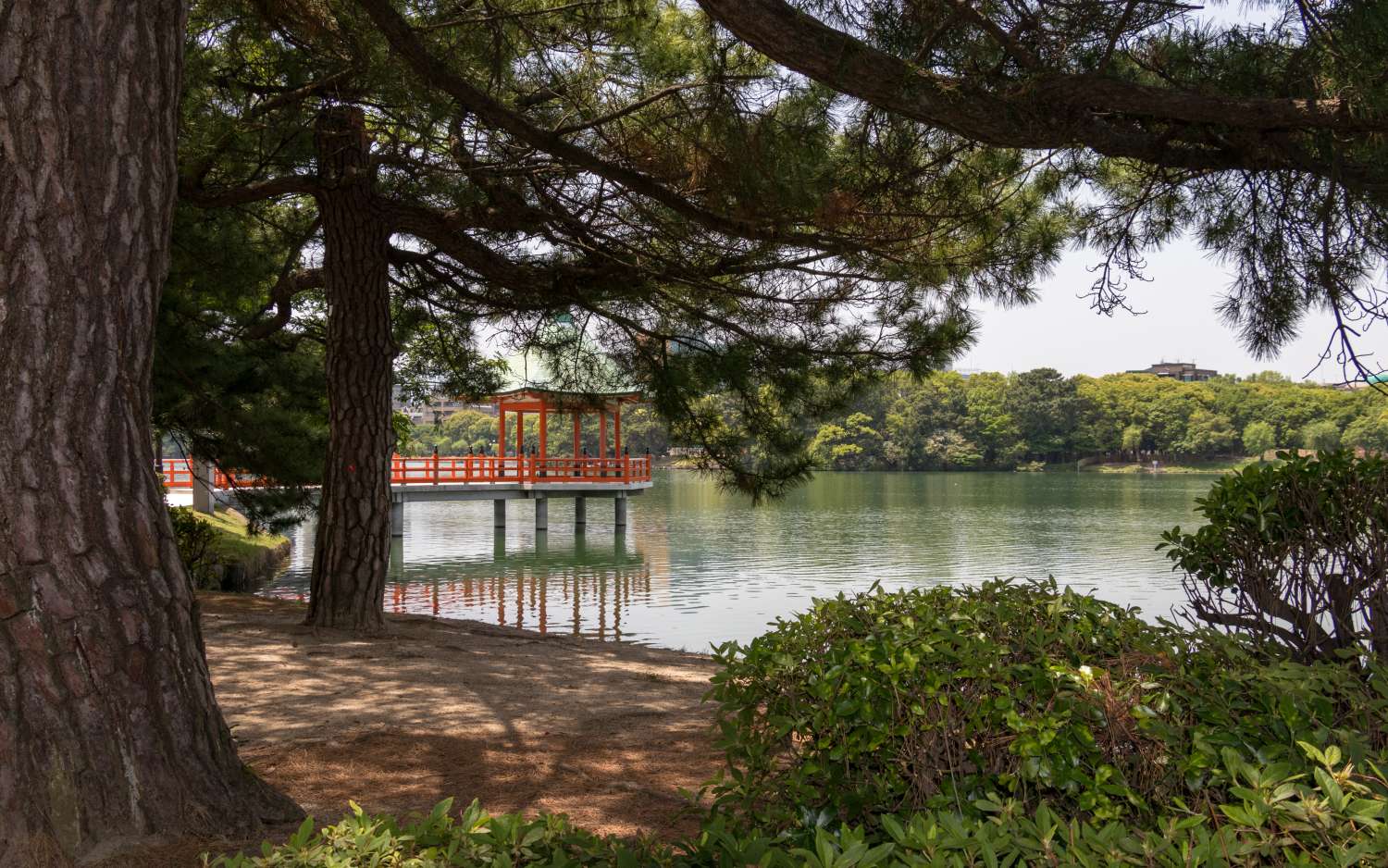 Ohori Park - The Ultimate Guide to Fukuoka's Tranquil Park