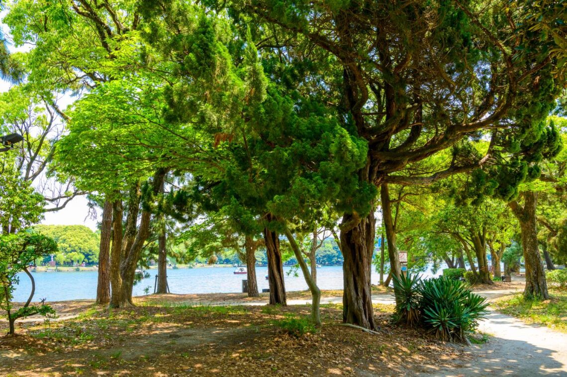 Ohori Park - The Ultimate Guide to Fukuoka's Tranquil Park