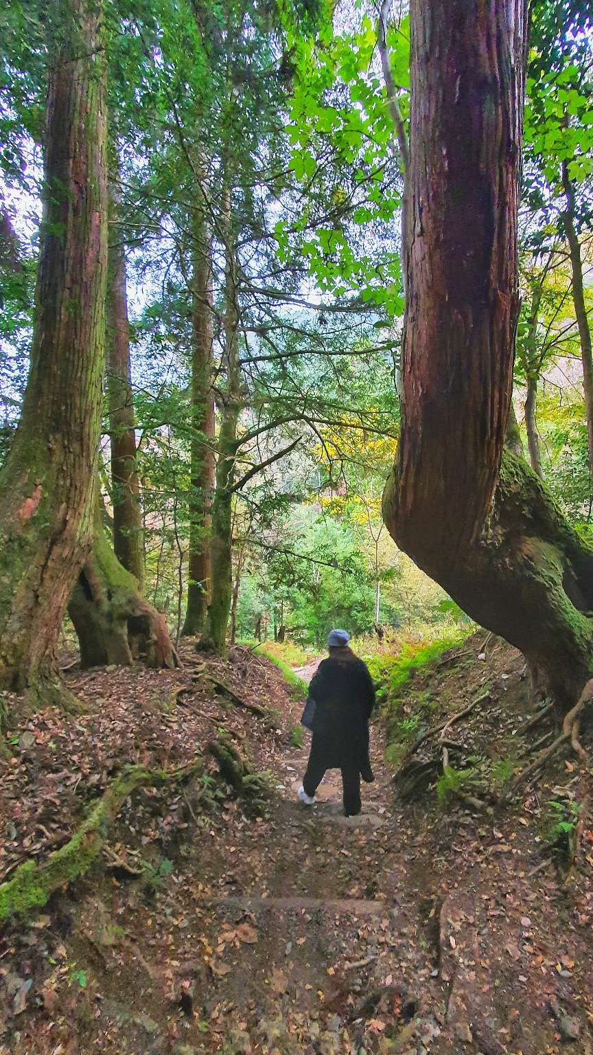 Kurama to Kibune Hike - A Complete Day-Trip Guide from Kyoto