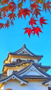 9 Kyoto Day Trip Gems You Can't Miss: Get The Ultimate List of ...