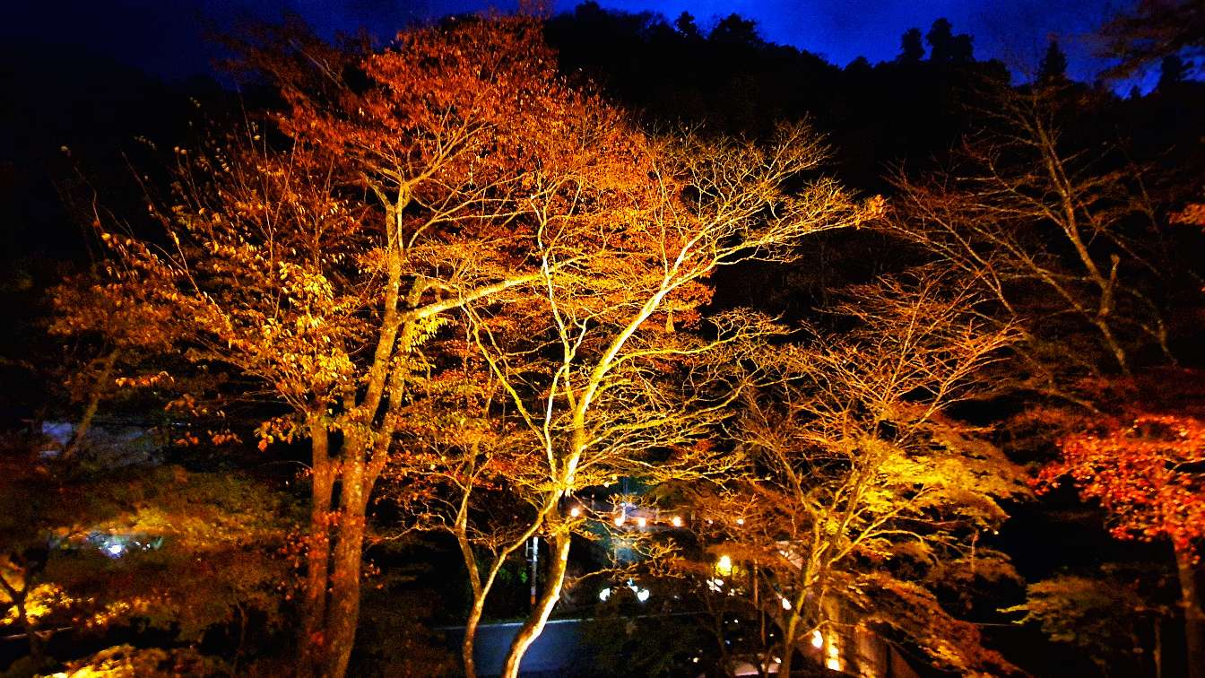 Kifune Shrine - A Complete Guide to Kyoto's Mystical Shrine