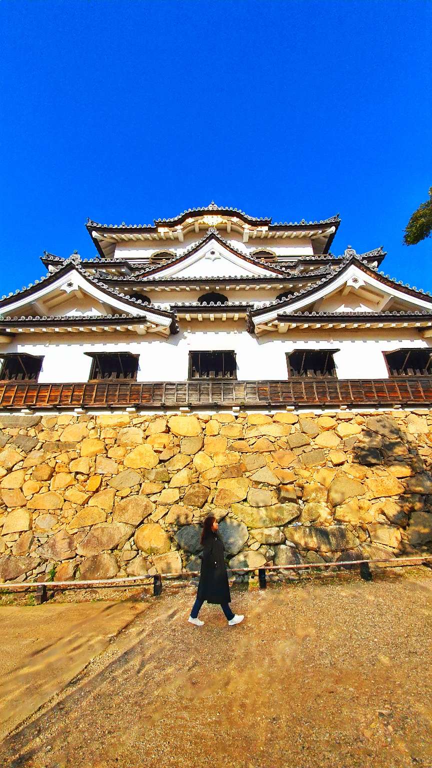 Hikone Castle - The Ultimate Travel Guide & Must-Know Hidden Tips